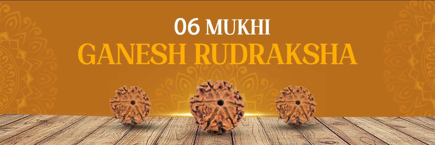 6 Mukhi Ganesh Rudraksha Benefits | Shiv Kripa Rudraksha Kendra – Shiv ...