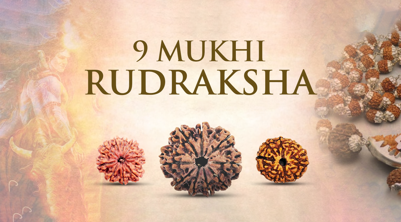 9 Mukhi Rudraksha: Benefits, Significance & How to Wear It – Shiv Kripa ...