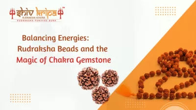 Balancing Energies: Rudraksha Beads and the Magic of Chakra Gemstone ...