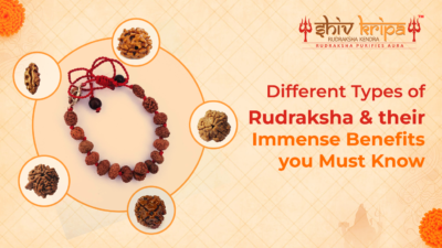 Different Types of Rudraksha and their Immense Benefits you Must Know ...