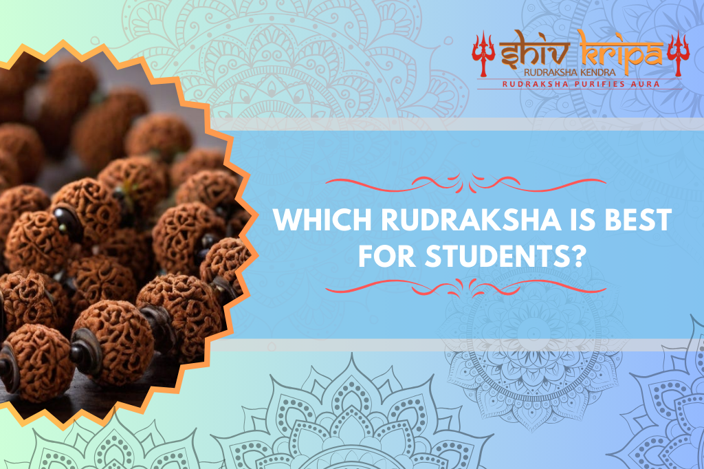 Which Rudraksha is Best for Students’ Success? – Shiv Kripa Rudraksha