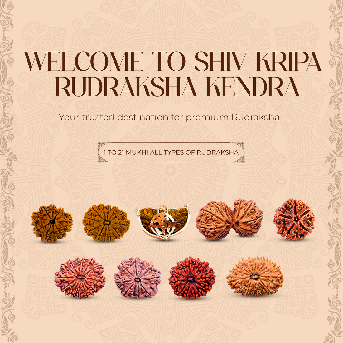 Buy Original Rudraksha Online, Govt Certified Lab Rudraksha – Shiv ...